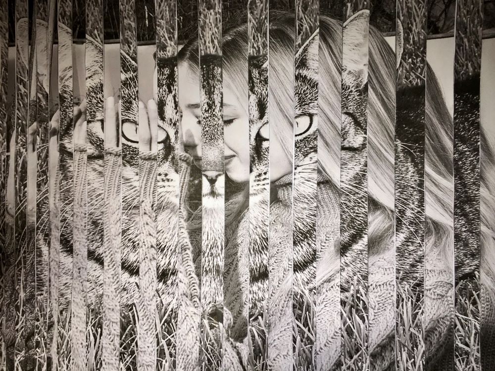 9 Collage Rollage Techniques – mit abstand betrachtet